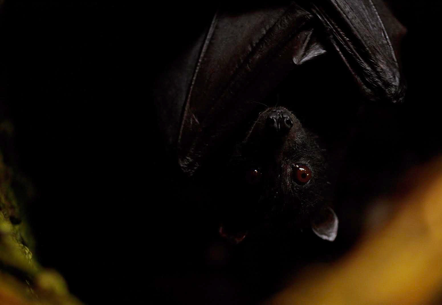 Malaya Siya: A village of this world and the one below it